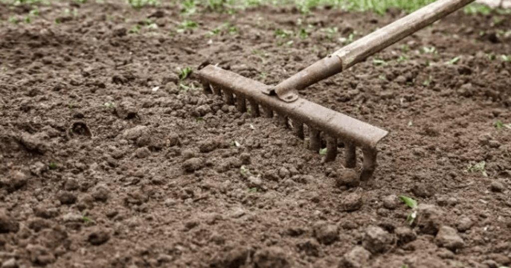 DIY Guide To Grading Dirt In Your Yard [2023 Edition] - Aspire ...